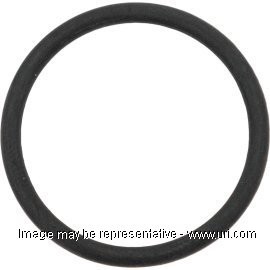 Shop 303700 - O-Ring - Everpure - URI