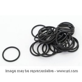 Shop 303700 - O-Ring - Everpure - URI